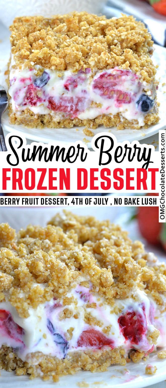 Summer Berry Frozen Dessert | Easy No Bake Berry Cheesecake Recipe